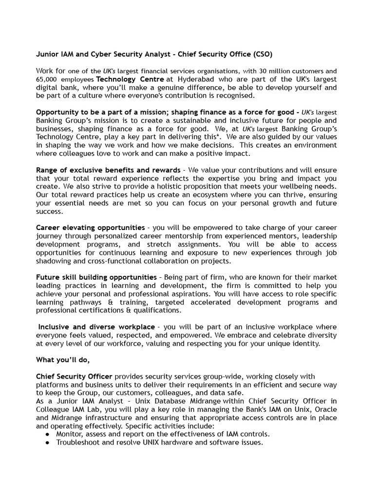 IAM and Cyber Security Analyst | PDF | Mentorship | Computer Security