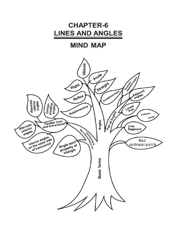9th Chapter-6 Assignment | PDF