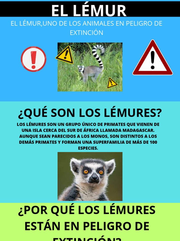 El Lemur | PDF