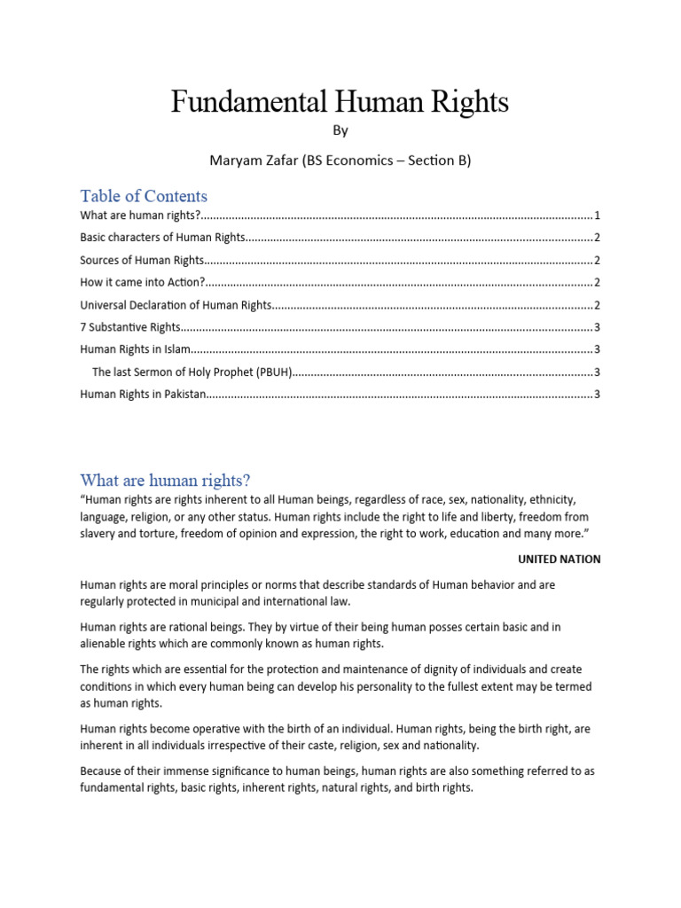 Fundamental Human Rights | PDF | Human Rights | Applied Ethics