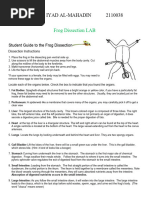 Anatomy of Frogs: Internal Structures | PDF | Digestion | Frog