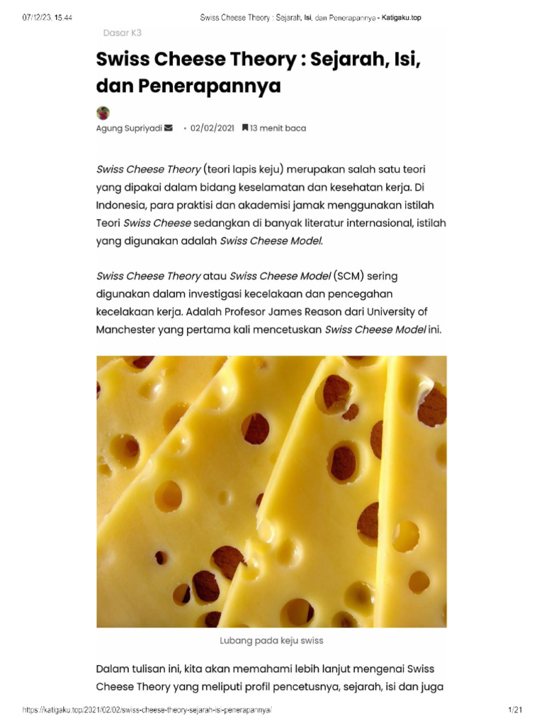 Swiss Cheese Theory | PDF