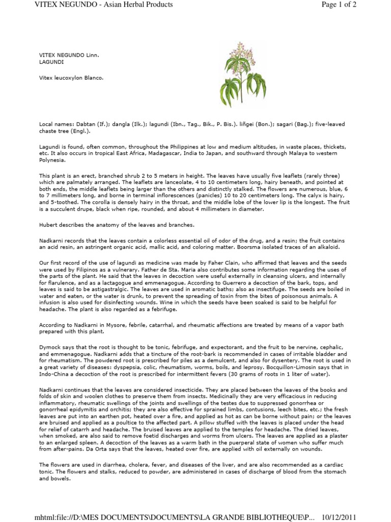 Vitex Negundo Linn. - Lagundi - Vitex Leucox - Asian Herbal Products | PDF | Diseases And ...