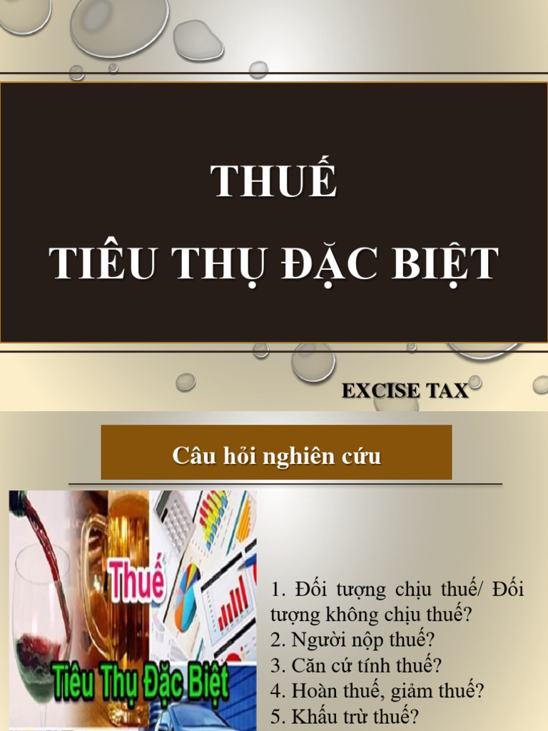 Thue Tieu Thu Dac Biet | PDF