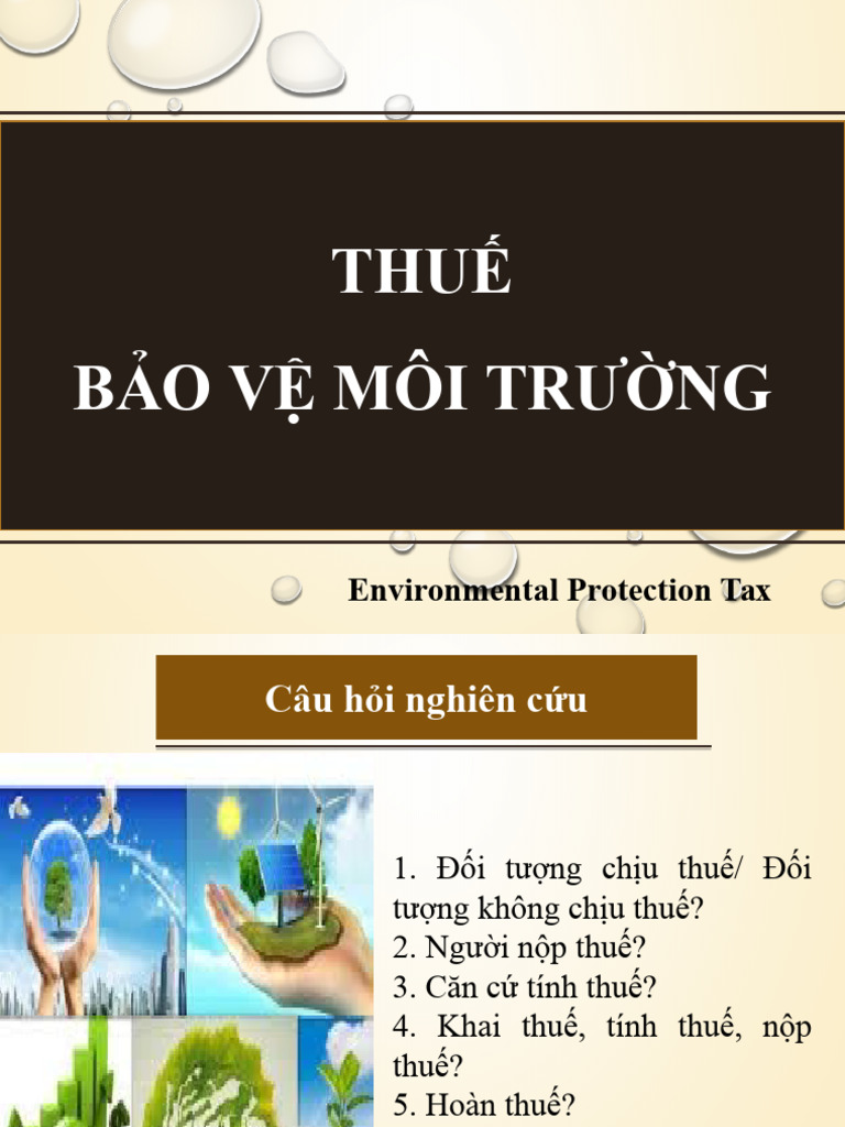 Thue Bao Ve Moi Truong | PDF