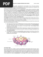 Female Reproductive Systems Rats | PDF | Ovary | Epithelium
