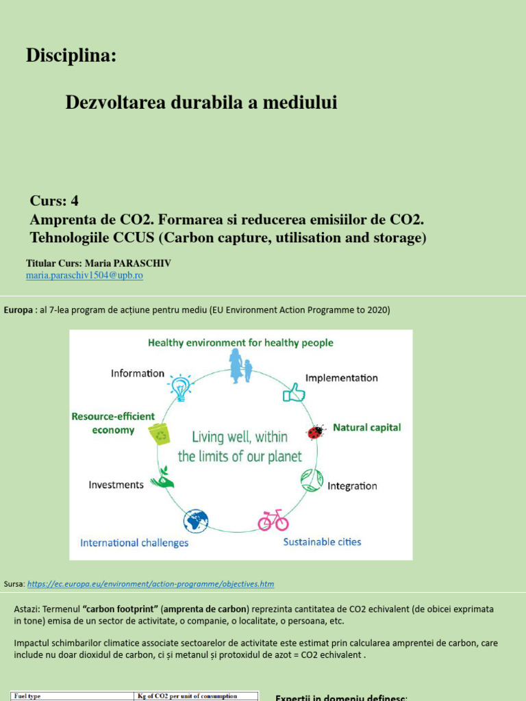 Curs 4 - DDM - Amprenta de CO2 | PDF | Greenhouse Gas | Environmental Issues With Fossil Fuels