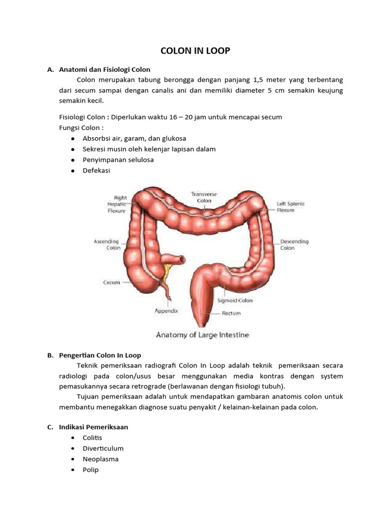 5.colon in Loop | PDF