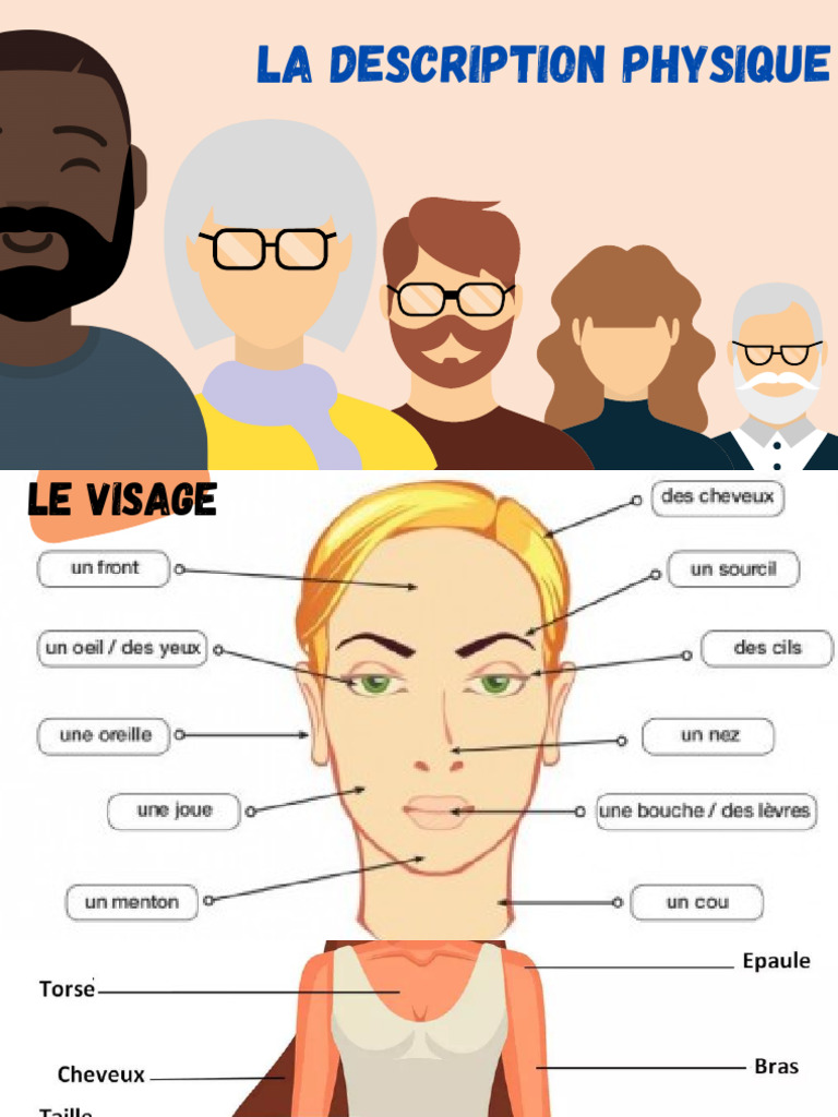 Description physique du visage et du corps | PDF | Mode | Vêtements