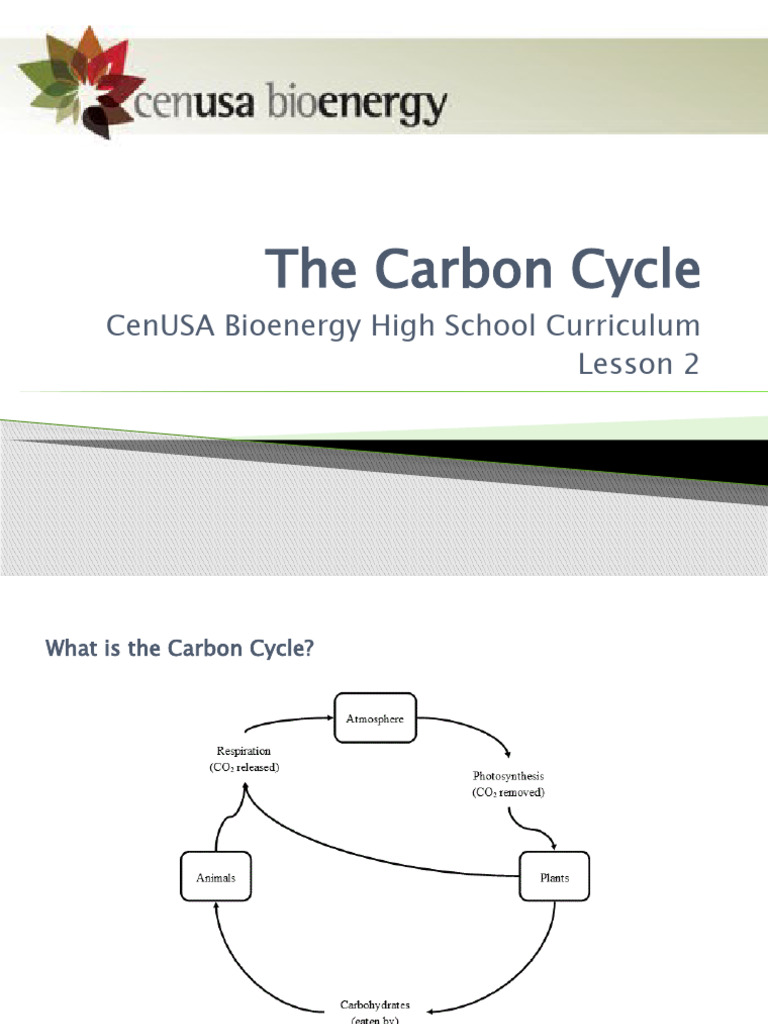 Lesson 2-Carbon Cycle | PDF