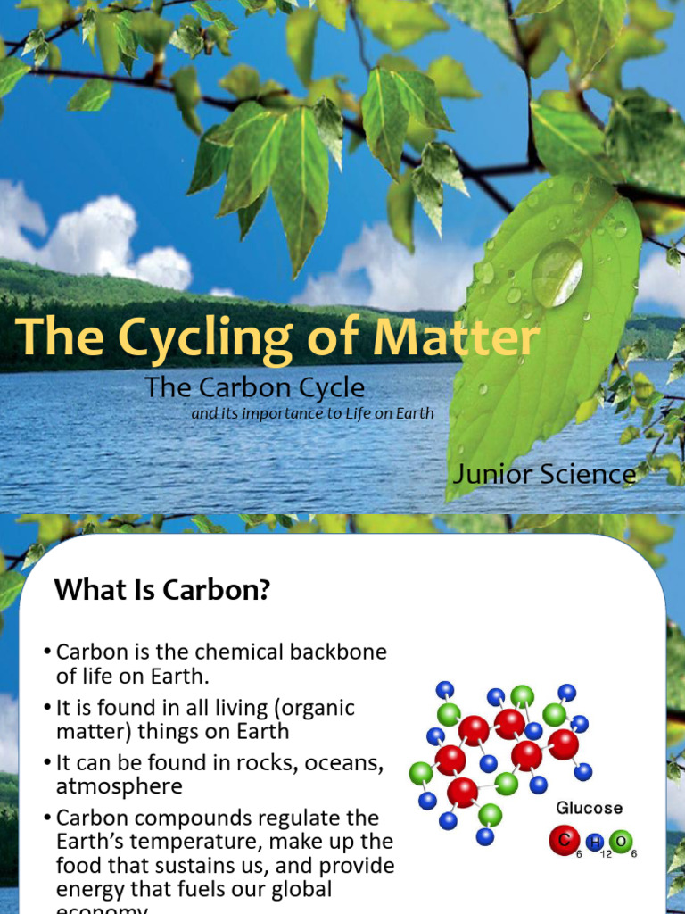 Es05 Cycling of Matter - Carbon Cycle | PDF | Carbon Cycle | Carbon