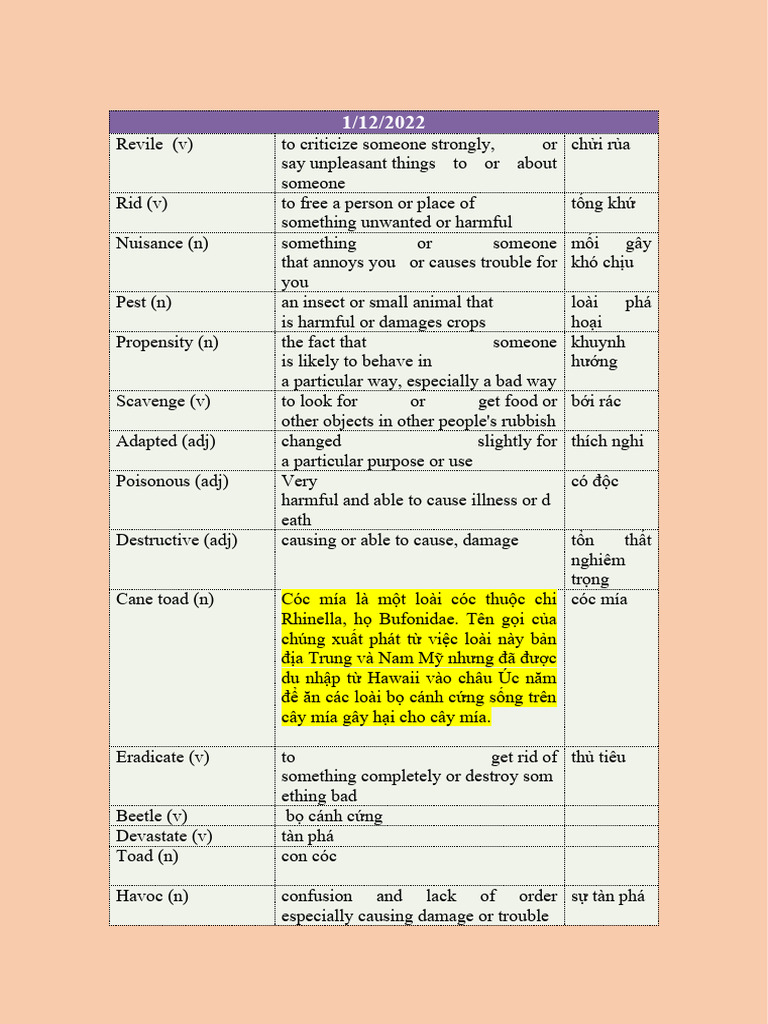 Daily Vocabulary | PDF