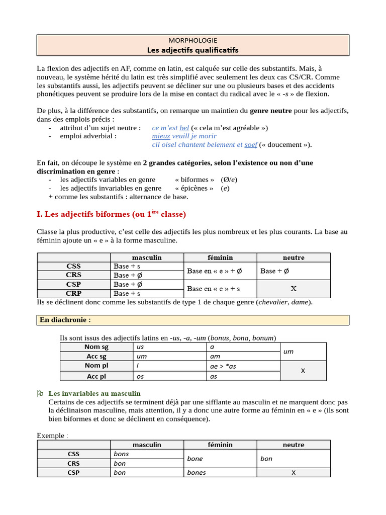 Morphologie des adjectifs en AF | PDF | Genre grammatical | Nom (grammaire)
