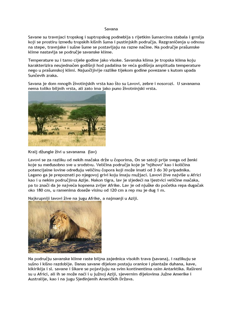 Savana | PDF