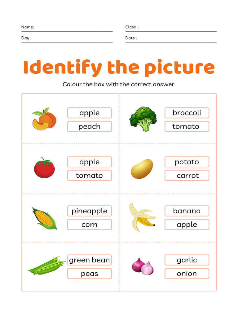 Worksheet English Year 1 | PDF