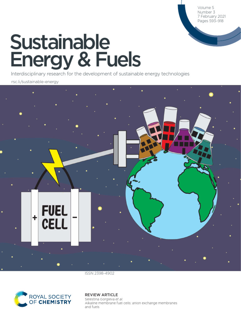Alkaline membrane fuel cell | PDF | Fuel Cell | Catalysis