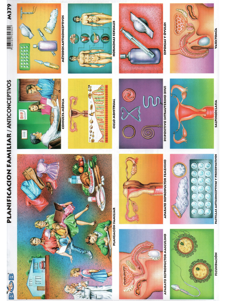 Lamina PLANIFICACION FAMILIAR ANTICONCEPTIVOS | PDF
