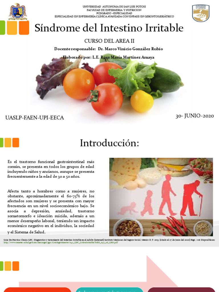 Síndrome Del Intestino Irritable | PDF | Síndrome del intestino ...