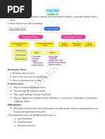 Lfsc Grade 10 - Unit 4 - Plant and Animal Tissues | PDF | Tissue ...
