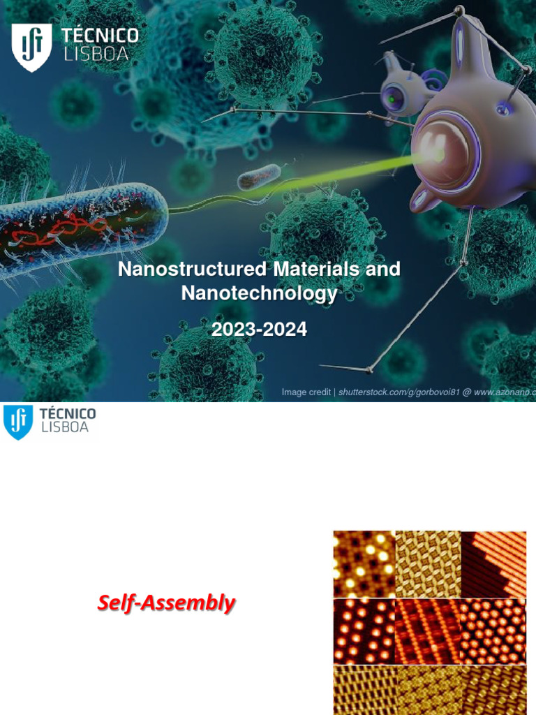 MNN_2324_3_Self assembling | PDF | Self Assembly | Intermolecular Force