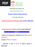 Isolement et Identification Microbienne | PDF | Milieu de culture | Microbiologie