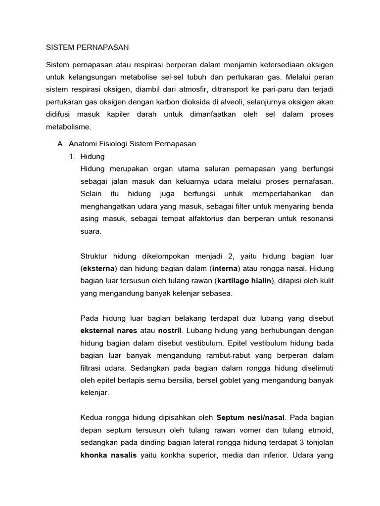 Contoh Review | PDF | Kajian Bahasa Asing | Seni