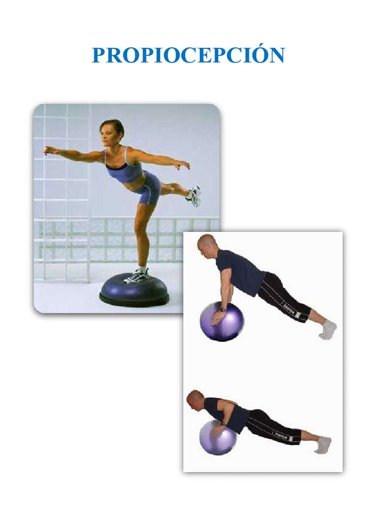 PROPIOCEPCIÓN | PDF | Músculo esquelético | Contracción muscular