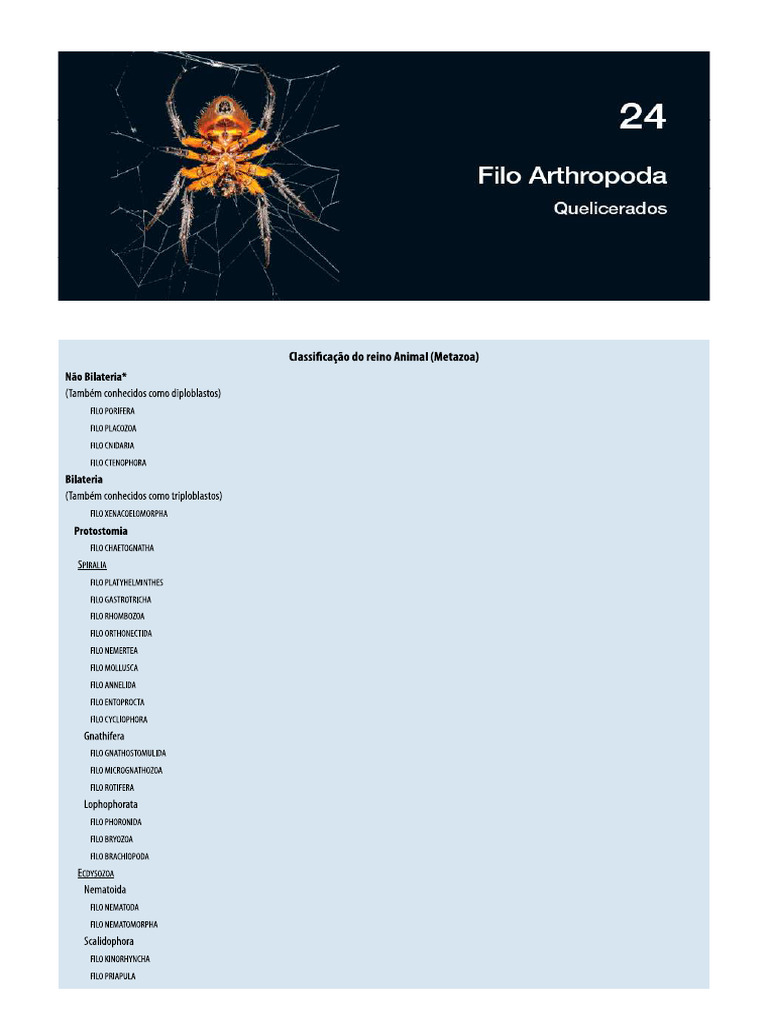 Brusca Etal 2018 Cap24 Chelicerata | PDF