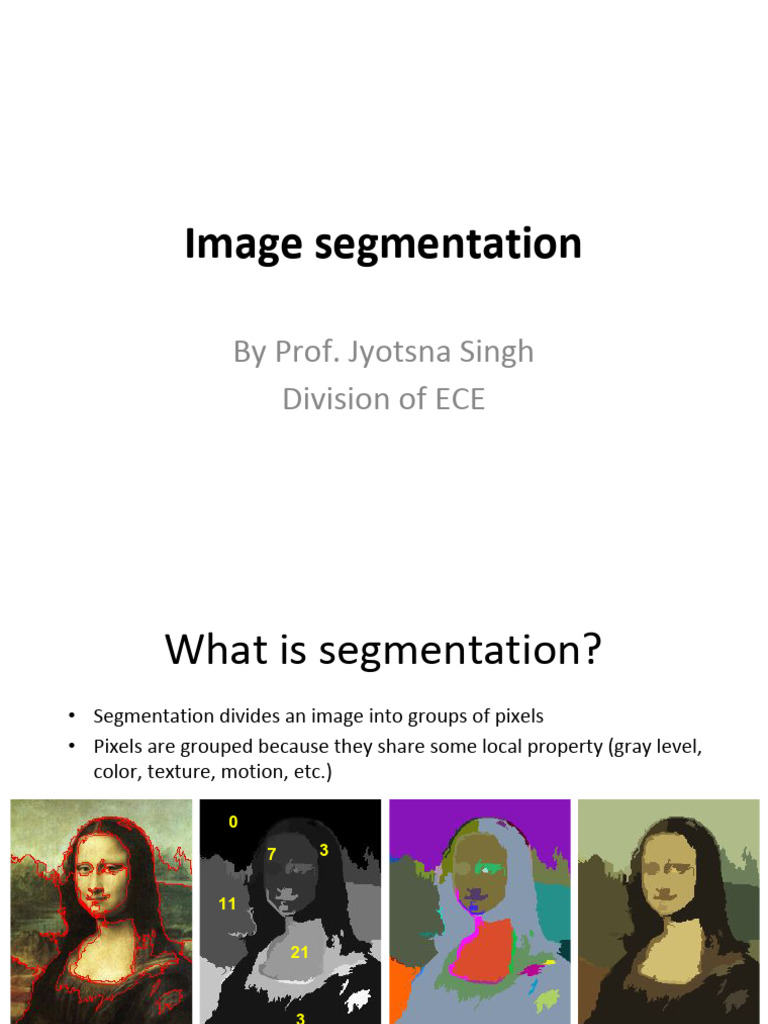 image_segmentation | PDF | Cluster Analysis | Image Segmentation