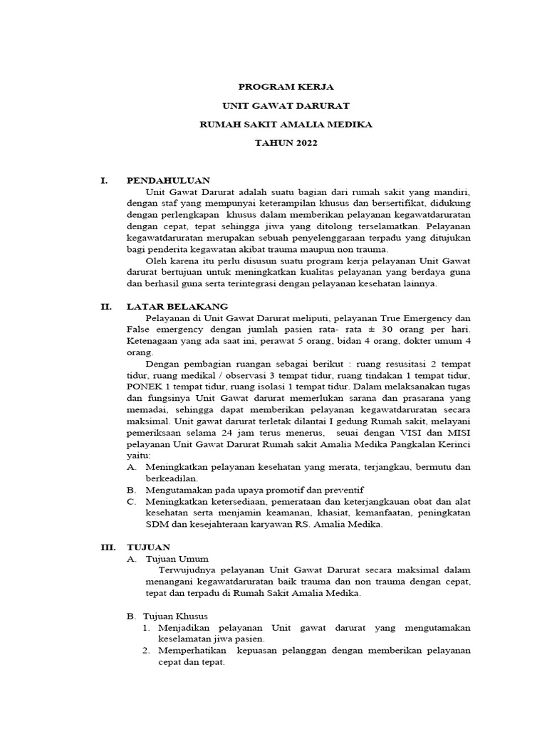 Program Kerja Ugd 2022 | PDF