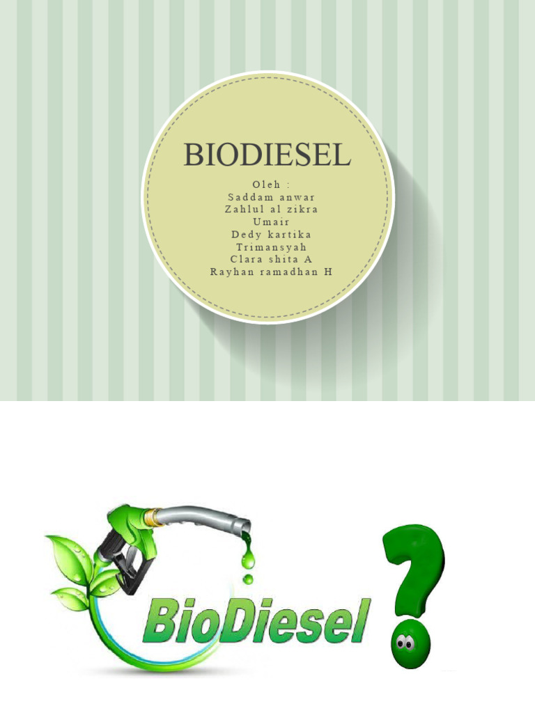 Kelompok 1 Biodiesel | PDF