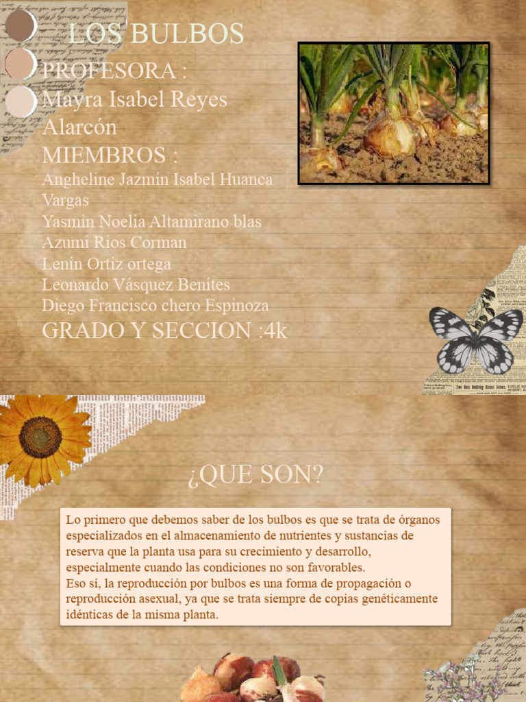 Características y Tipos de Bulbos | PDF | Hogar, jardinería y bricolaje ...
