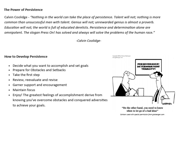 Mastering Persistence for Success | PDF | Self-Improvement