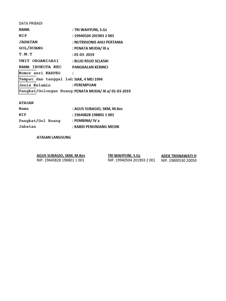 Contoh Dupak Nutrisionis Ahli | PDF