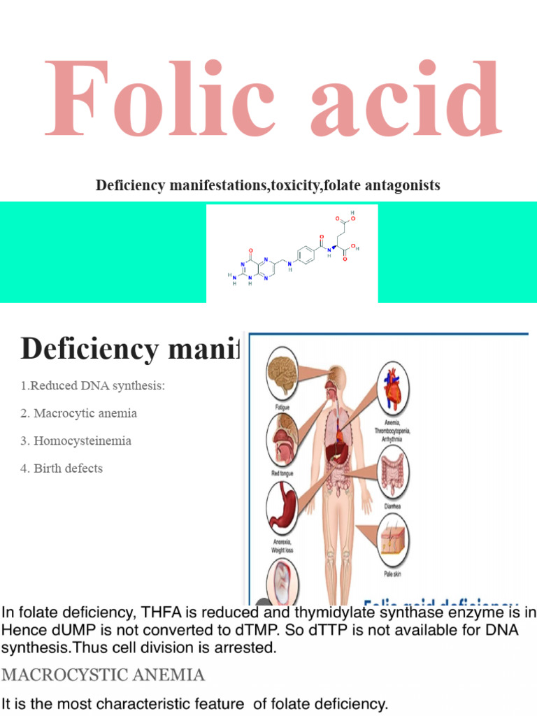 Folic Acid | PDF