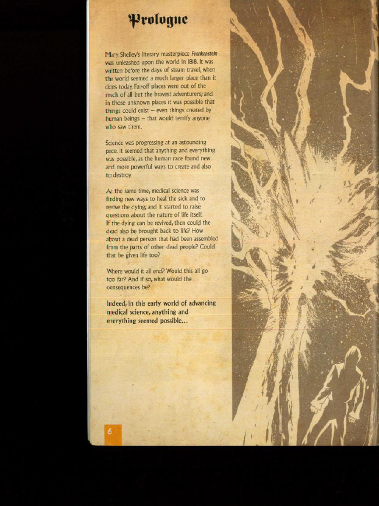 Frankenstein - Graphic Novel (Original Text) | PDF