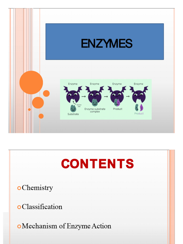 Enzymes PDF | PDF | Enzyme | Cofactor (Biochemistry)