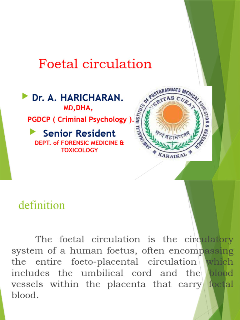 Foetal Circulation | PDF | Fetus | Ventricle (Heart)