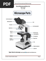 Microscope Parts & Functions Guide | PDF | Imaging | Microscopy