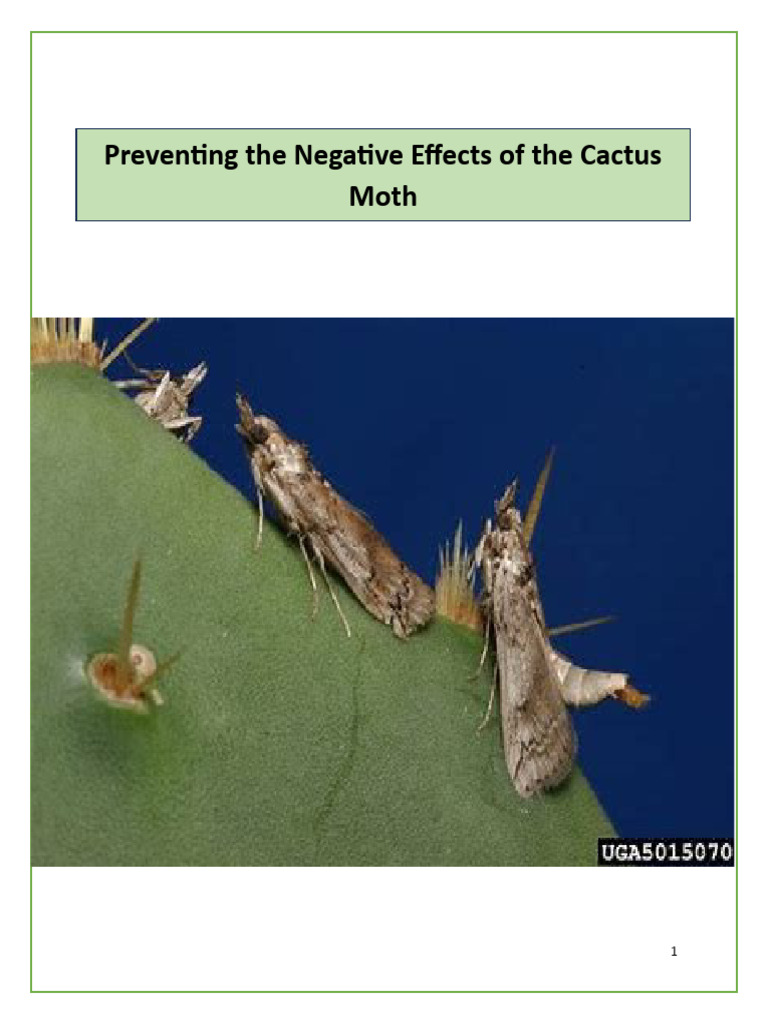 White Paper Assignment Final Version | PDF | Organisms | Insects White Paper Assignment Final Version | PDF | Organisms | Insects