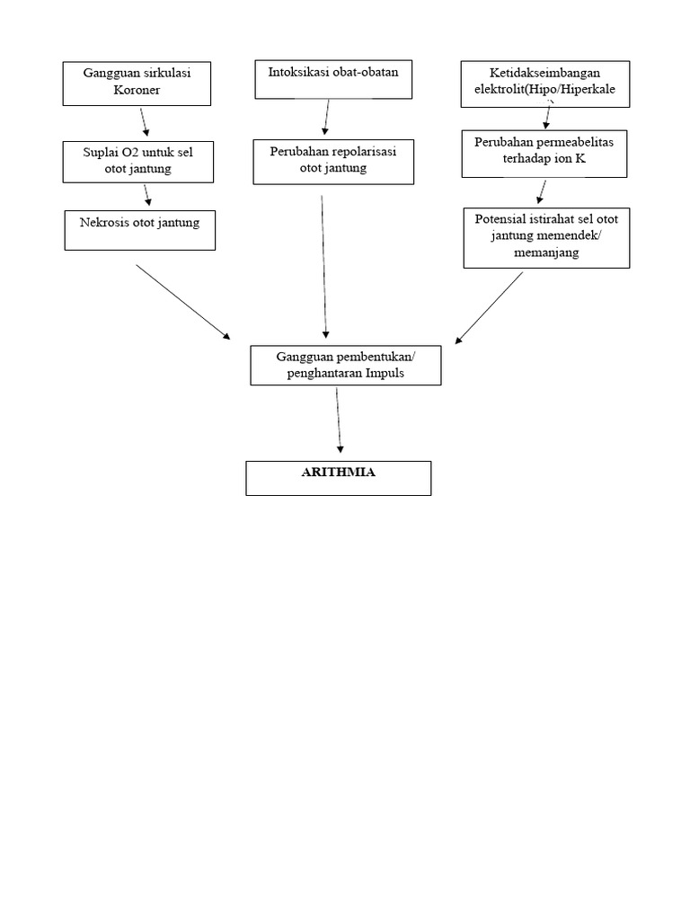 Pathway Aritmia | PDF