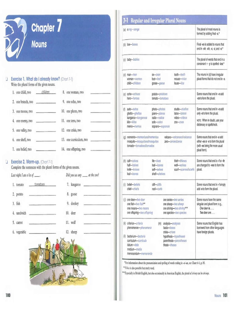Ss GR 2in1 | PDF