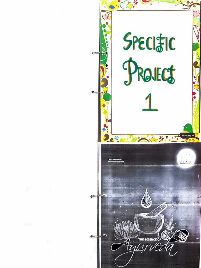 Segment Reporting Double Pdf Financial Economics Income