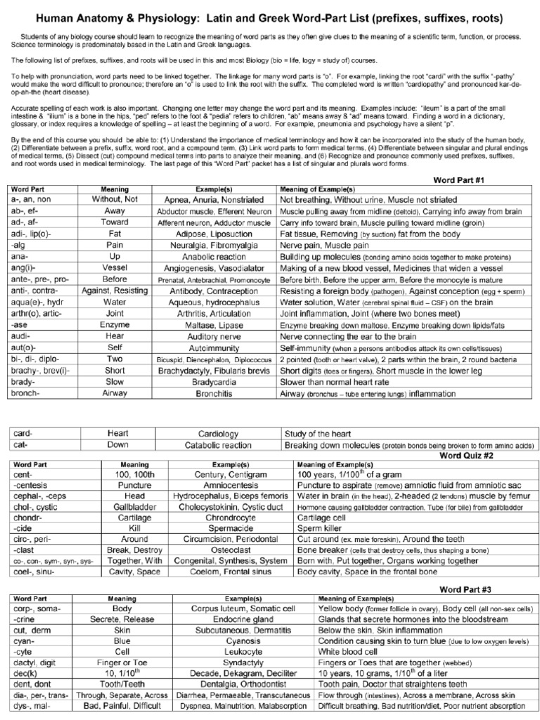 ANAPHY Terminologies | PDF