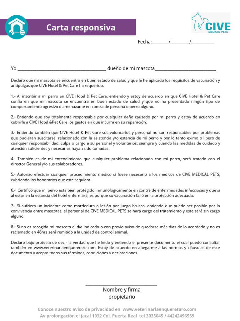 Carta Responsiva (1) | PDF