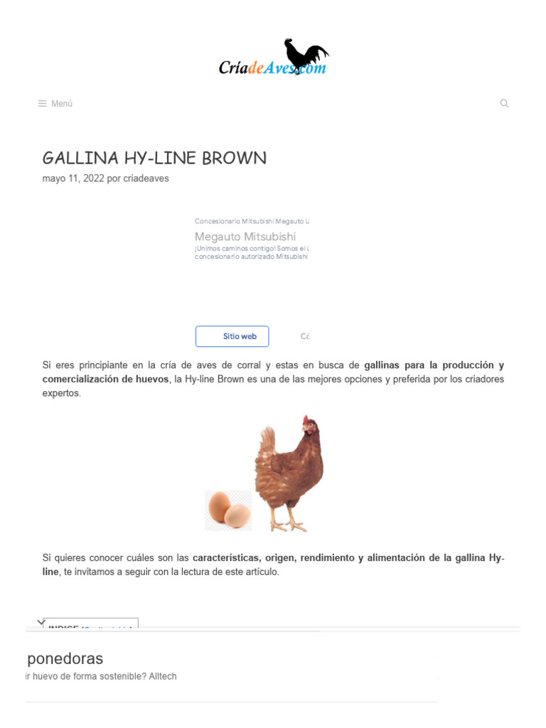 GALLINA HY-LINE BROWN (Características, Origen, Alimentación) | PDF ...