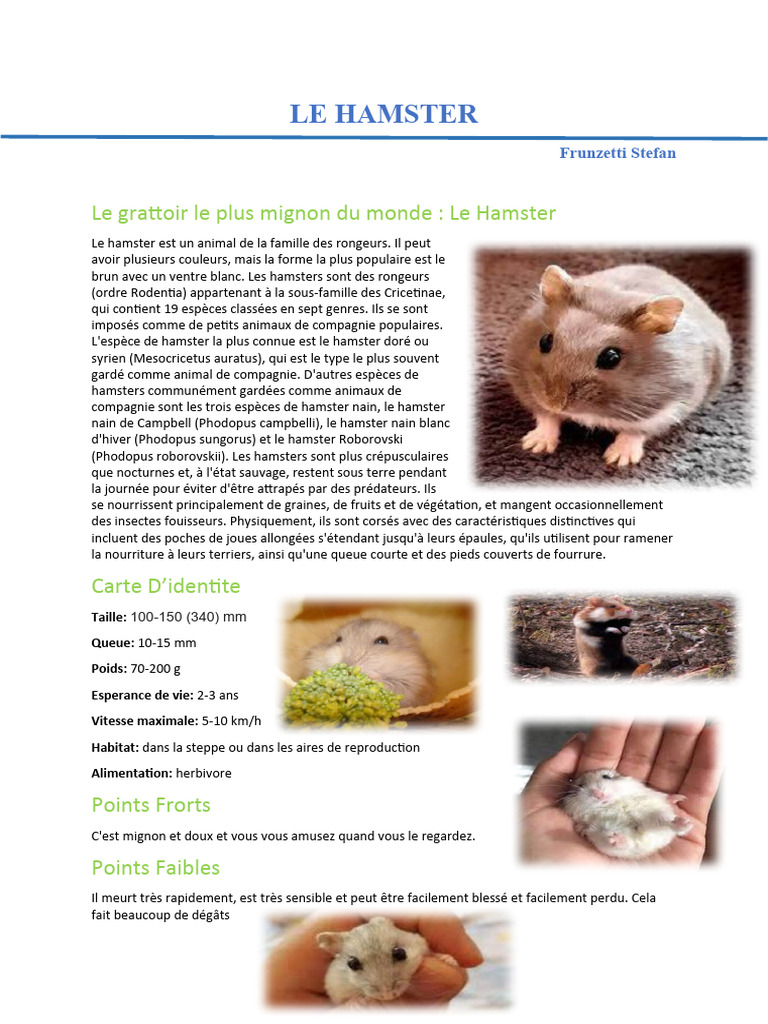 Le Hamster | PDF | Jeunes adultes
