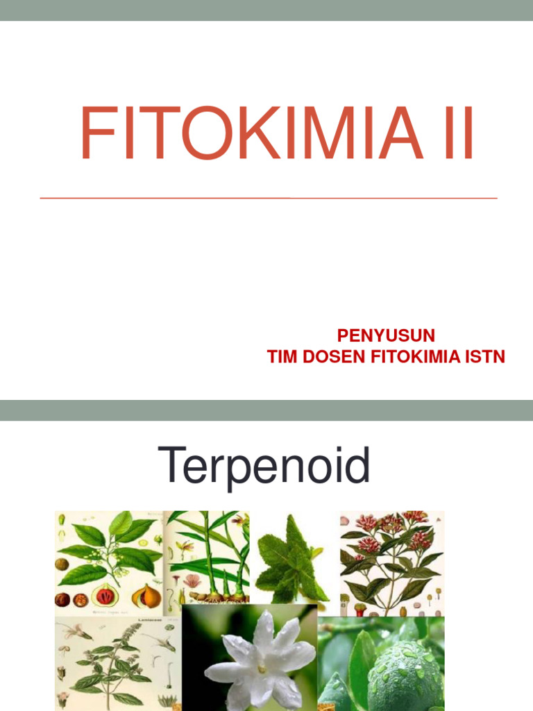 Materi UTS Fitokimia 2 | PDF