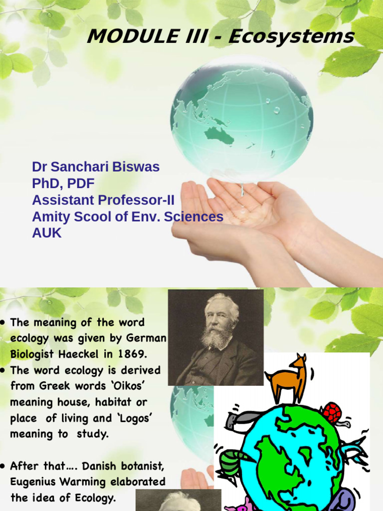 Module Iii Ecosystem Notes Pdf Ecosystem Food Web