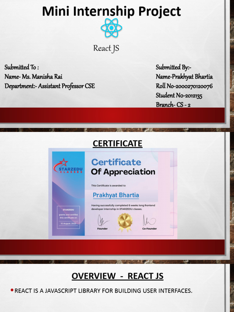 7th Sem Mini Internship | PDF